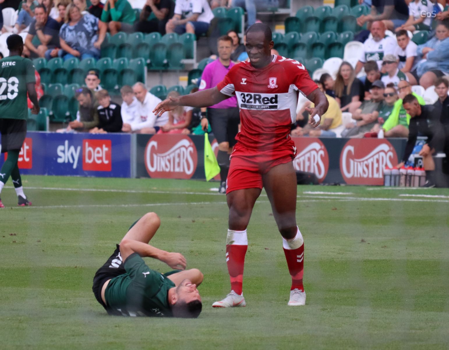 Greens on Screen Photos